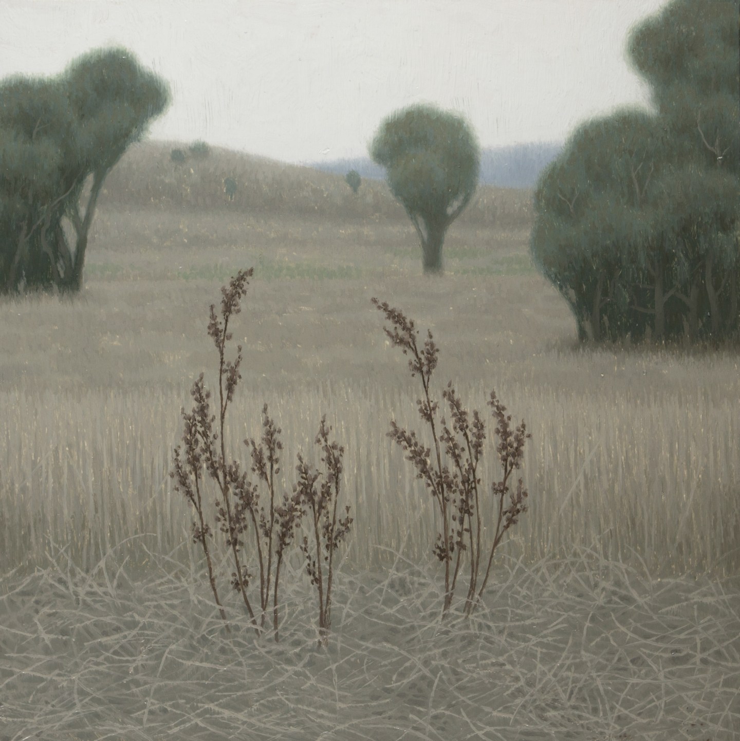 Common Ground – Nick Dridan
